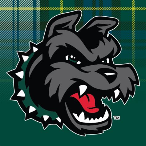 Helix Charter High School La Mesa Ca Athletics
