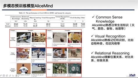 多模态预训练技术alicemind2021 图文多模态任务 csdn博客