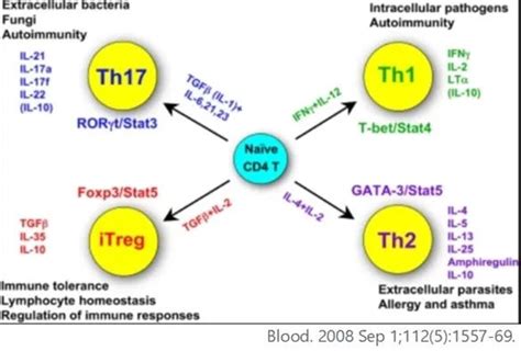 固有免疫与适应性免疫应答的原理和区别生物器材网