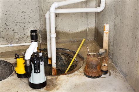 Pedestal Vs Submersible Sump Pump Blains Farm And Fleet Blog