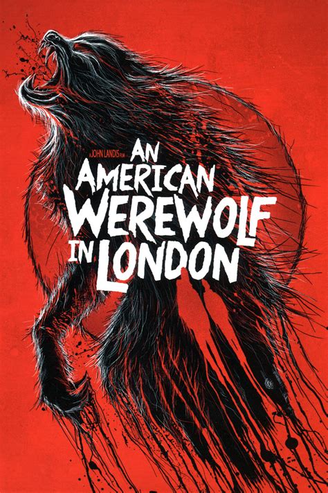 An American Werewolf In London 1981 Posters — The Movie Database Tmdb
