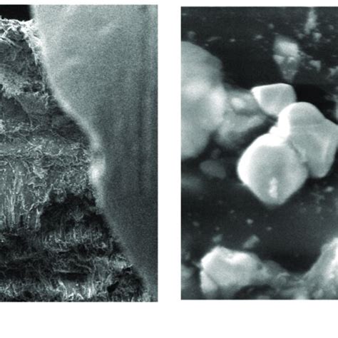 Micrographs For The M1 Composite Material At A 500× And B 50 000×