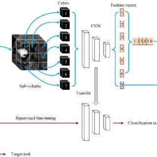 The Proposed Self Supervised Learning Framework It Consists Of Two