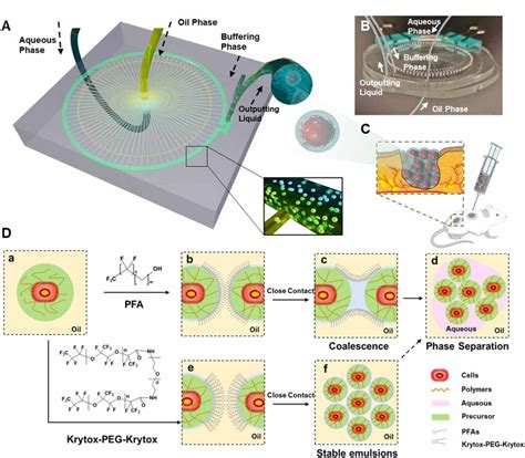schematic illustration of the one step microfluidic strategy for download scientific diagram