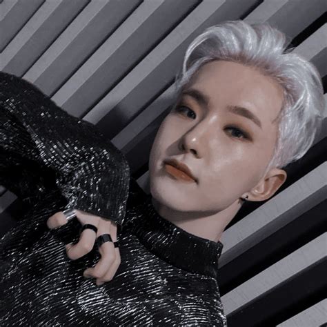 Hoshi And Seventeen Aesthetic Icons