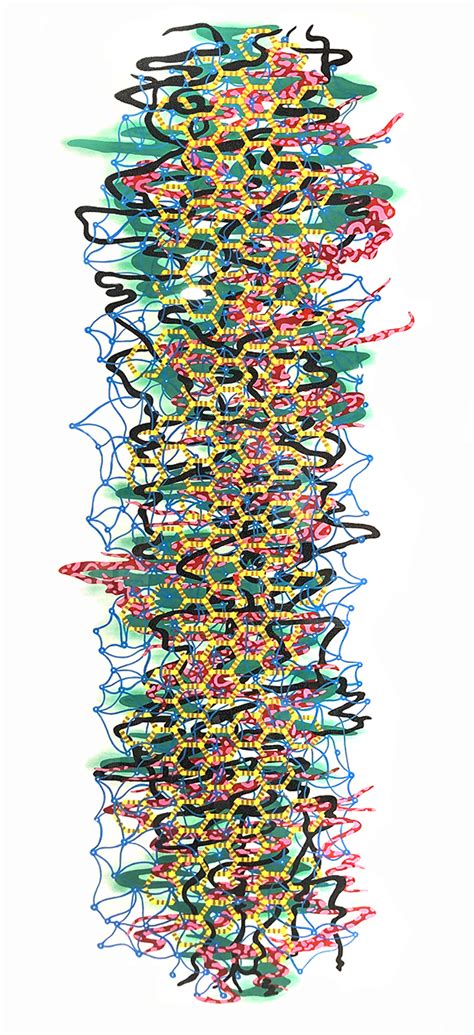 Genus Category Kevinoehler