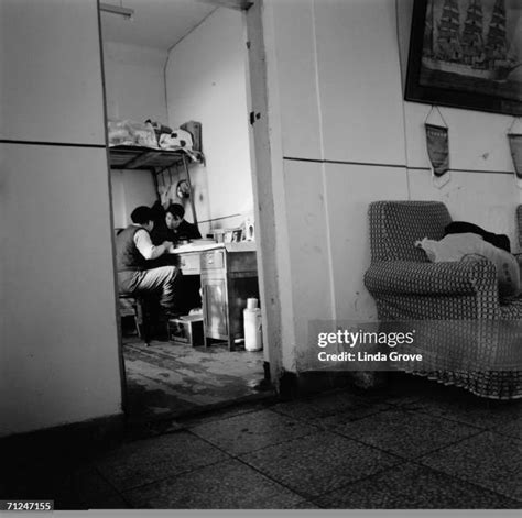 Heilongjiang University Photos And Premium High Res Pictures Getty Images