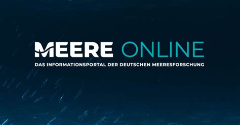 Ux Case Study Meere Online Uxui Agentur Berlin Ion One