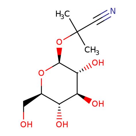 Ml04551 554 35 8 Linamarin Biosynth