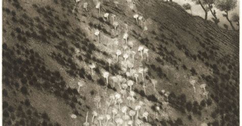 Li Cui Lin Biography Shows Articles And More Artsy