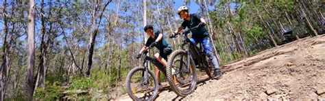 Danielle Gardner Technically Speaking Yamaha And Honda Motorcycles