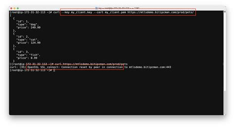 为api Gateway使用自定义域名和mtls双向证书认证