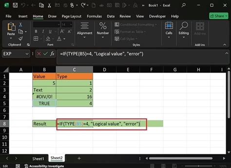 Advanced Excel Information Type Function
