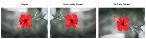 How To Do Multiclass Image Classification With Data Augmentation