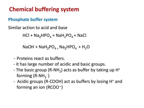 Ppt Urinary System L 4 Acid Base Balance And Avian Urinary System Powerpoint Presentation Id