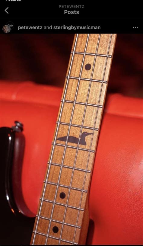 The Bird On The New Bass Looks Like The Same Bird As This New Clan