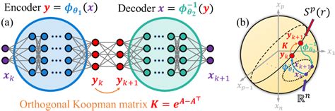 learning hamiltonian neural koopman operator and simultaneously