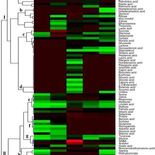 A Hierarchically Clustered Heat Map Of The Primary Metabolite Levels Of