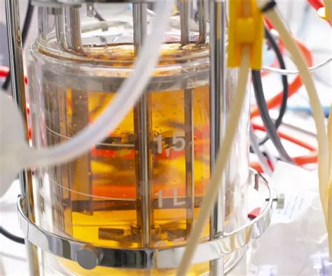 Plasmid Dna Manufacturing Gmp‑grade And Scalable