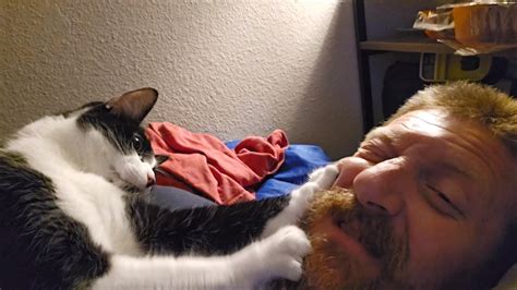 Psbattle Cat Kneeding Mans Face Rphotoshopbattles