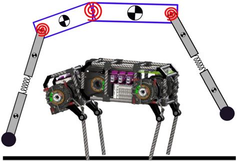 Planar Quadruped Model And The Articulated Spine Robot Aidin Iv S Download Scientific Diagram