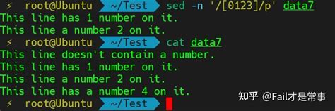 19shell正则表达式linux基础shell篇 知乎