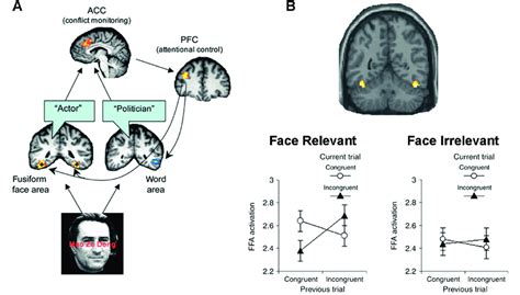 Testing An Inhibitory Account Of Selective Attention With Fmri A