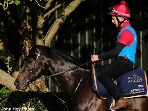 Royal Ascot Favored Australian Raider Artorius Has Improved Gate Speed