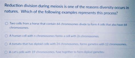 Answered Reduction Division During Meiosis Is Bartleby