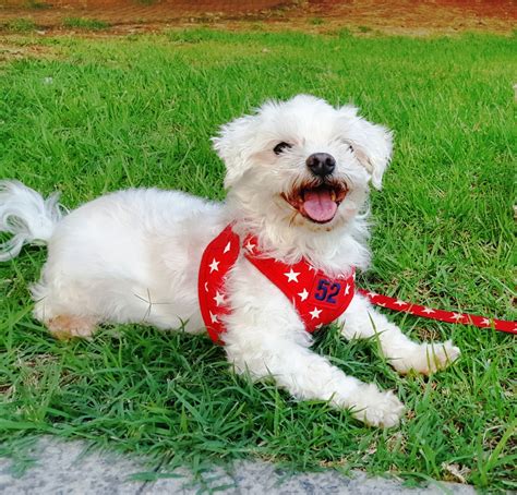 사진1 · Issue 1 · Dohyunlee98mid Term Project · Github