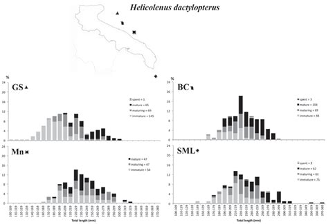 Length Frequency Distributions By Maturity Stage Of Helicolenus