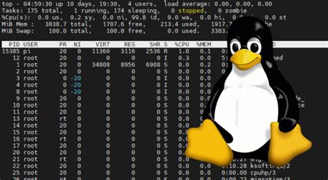 Using The Fg Command On Linux Pi My Life Up