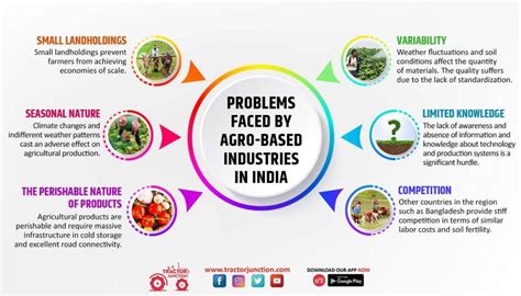 Top 6 Agro Based Industries In India Types Importance And Scenario