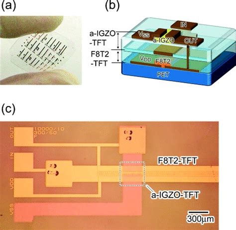 A Photograph Of The Flexible Complementary Inverter Sheet B Device
