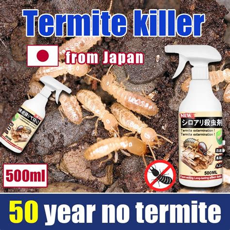 Professional Termite Extermination Sg Termite Killer Termite Spray