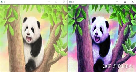 【opencv Python】图像灰度直方图均衡化 知乎