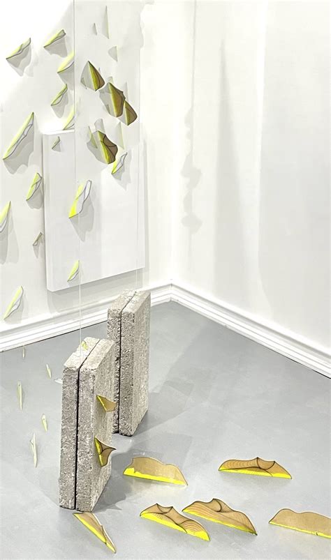 Reflection Transformation Detail — Natale Adgnot