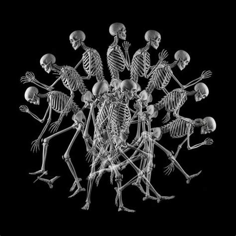 Free Bone Motion Study Photo Skeleton Motion Spiral Download At