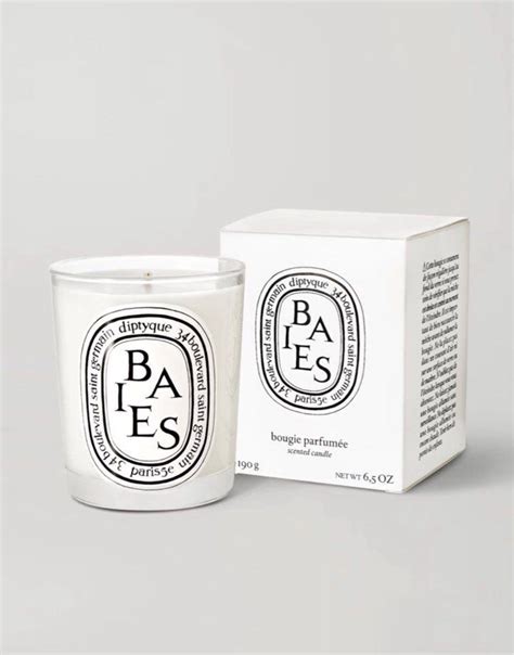 Diptyque Car Diffuser Insert Baies 2 1g Furniture And Home Living Home