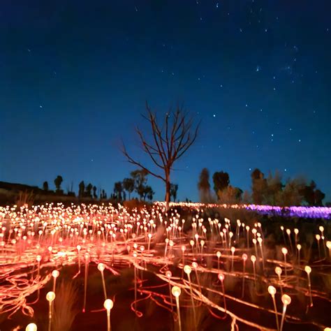 David Pocock David Pocock Added A New Photo