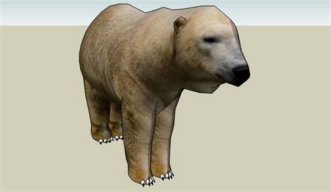 Sketchup Components 3d Warehouse Polar Bear