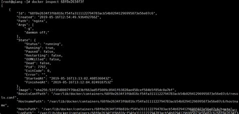 docker容器使用，以及启动查看基本命令 docker 启动命令 csdn博客