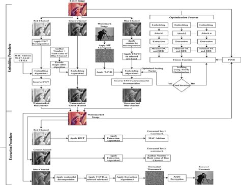 the proposed watermark algorithm download scientific diagram