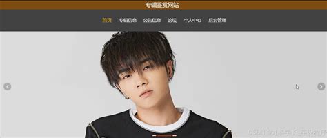 springboot毕设 专辑鉴赏网站 程序 论文 csdn博客