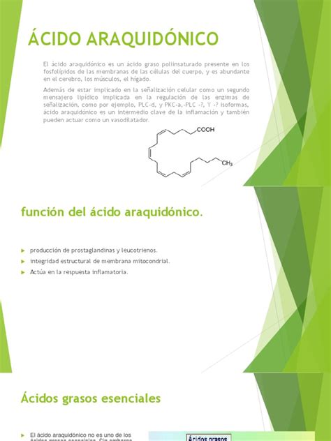 Ácido Araquidónico Pdf Prostaglandina Nutrientes