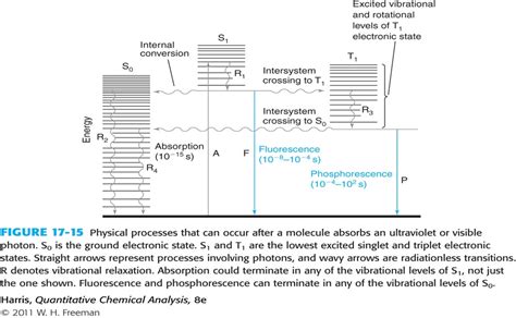 Solved What Happens When A Molecular Absorbs A Photon What