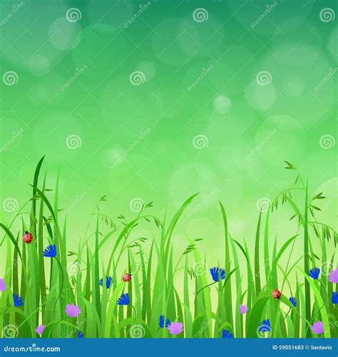 Grass Lawn With Flower And Sunshine In Vector Flat Background Stock Vector Illustration Of