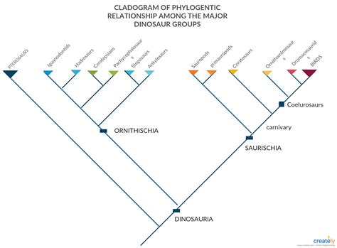 Cladogram Classic Creately Word Template Templates Words Cladogram Classic Creately Word Template Templates Words