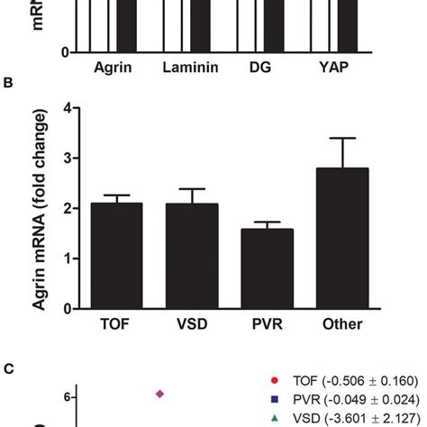 Mrna Expression Of Agrin And Associated Proteins By Gender And Download Scientific Diagram