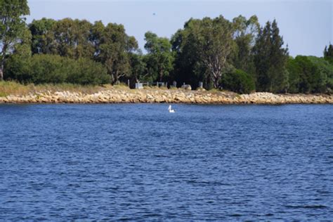 Site Of Aboriginal Sitting Burial Tambo River Mouth Area Swan Reach